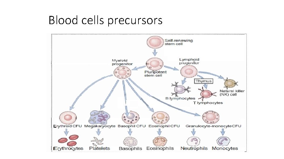Introduction to immunity and innate immunity2 Dr Eman
