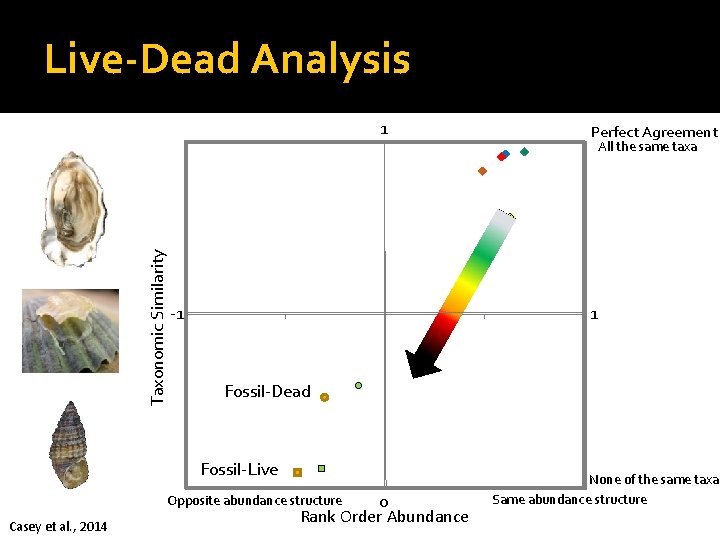 Neoichnology as an Indicator of Community Health in