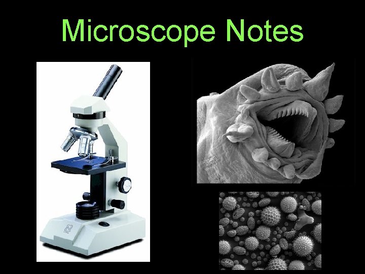 Learning Objectives Identify various microscope parts and state