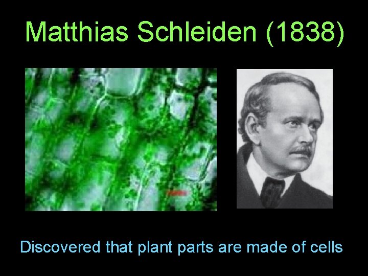 Learning Objectives Identify various microscope parts and state