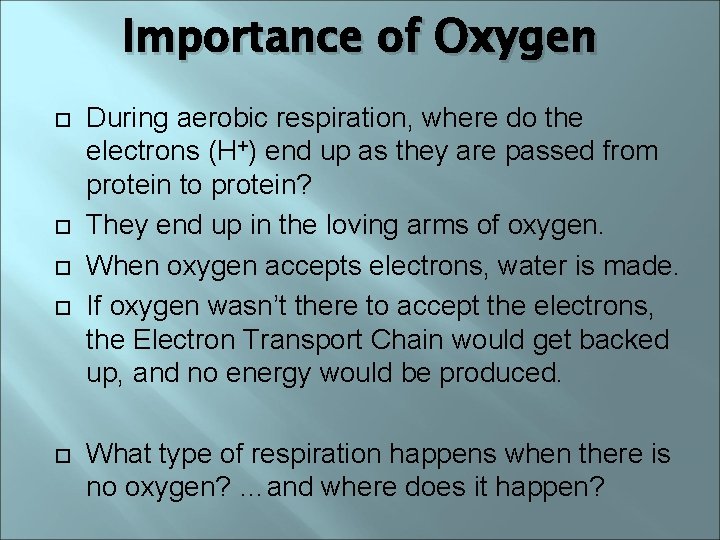Cellular Respiration Do our cells breathe Cellular Respiration