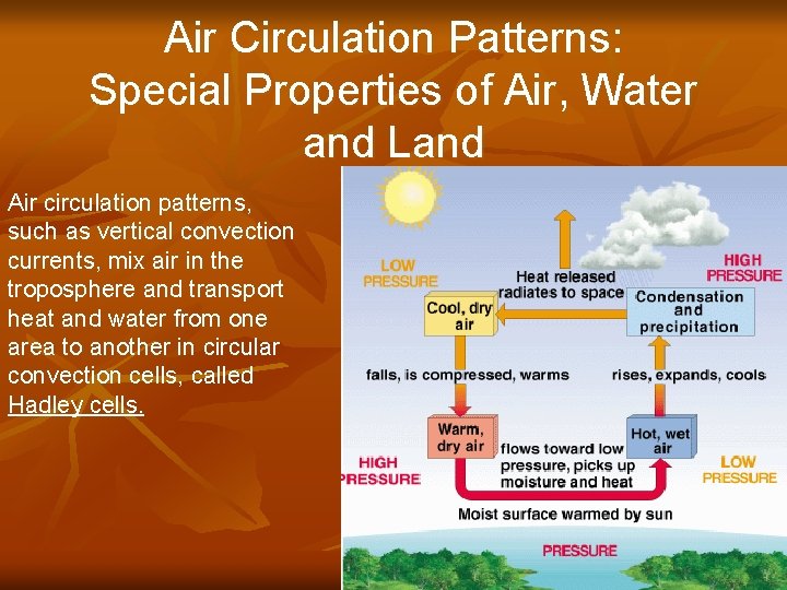 AP Environmental Science Terrestrial Biodiversity and Climate BrooksCole