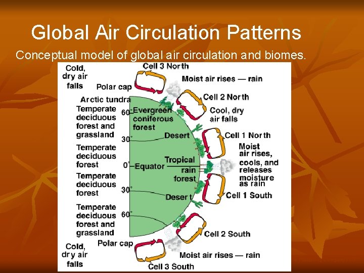 AP Environmental Science Terrestrial Biodiversity and Climate BrooksCole