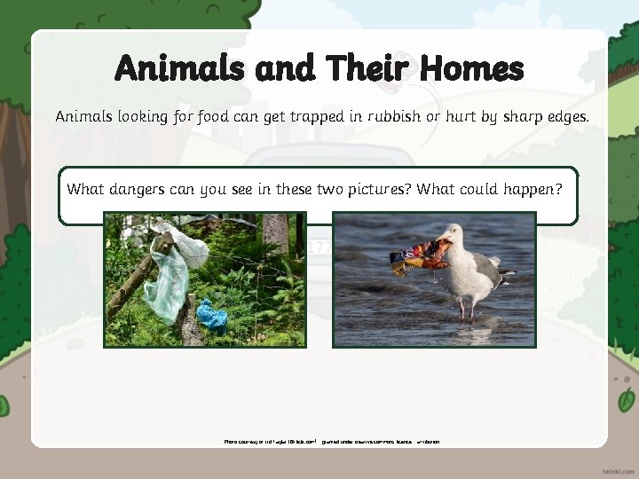 What Is Litter Litter is rubbish that has