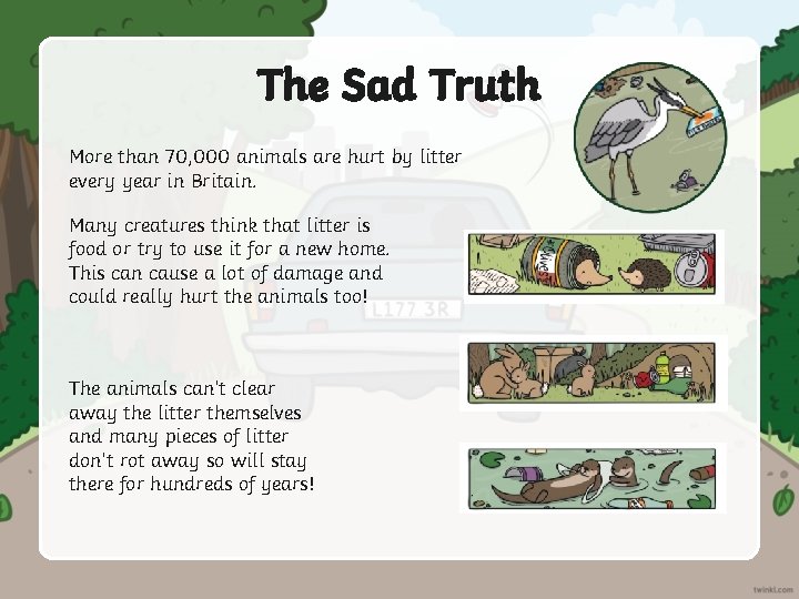 What Is Litter Litter is rubbish that has