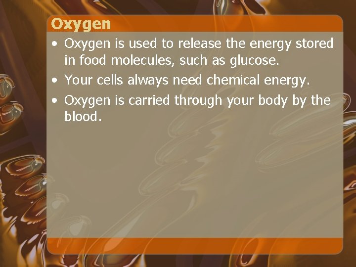 Human Body Systems Part 1 The Respiratory System