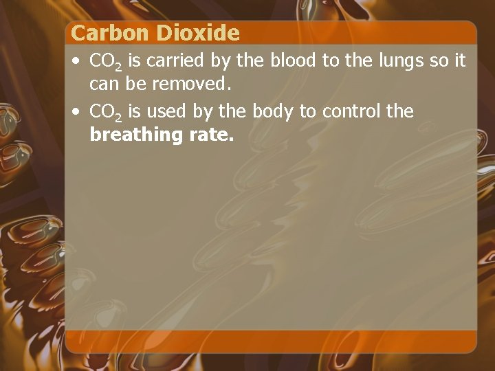 Human Body Systems Part 1 The Respiratory System