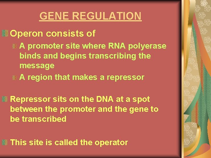 GENE REGULATION Virtually every cell in your body