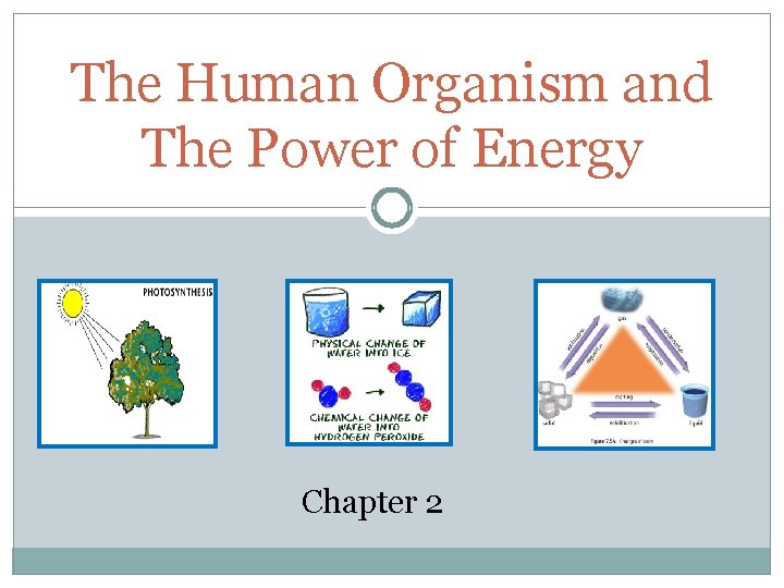 The Human Organism and The Power of Energy