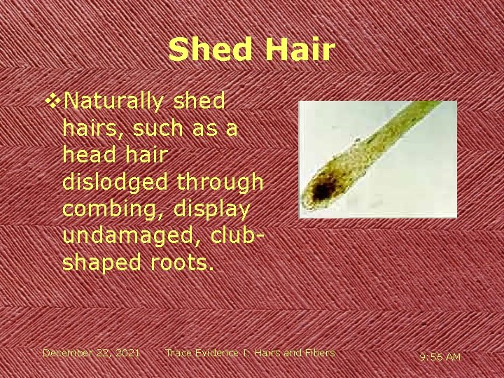 7 6 How Can Hair Be Used in