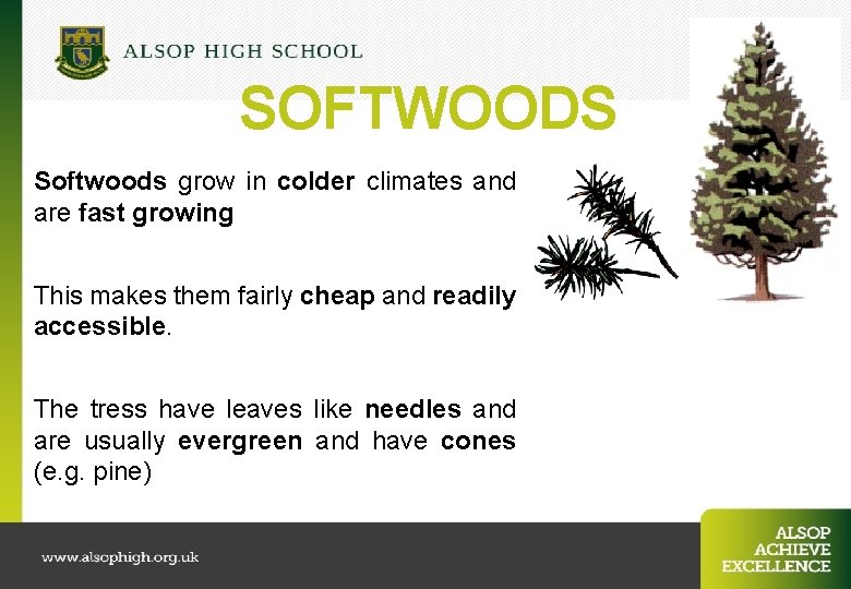 LESSON OBJECTIVES To be able to identify the