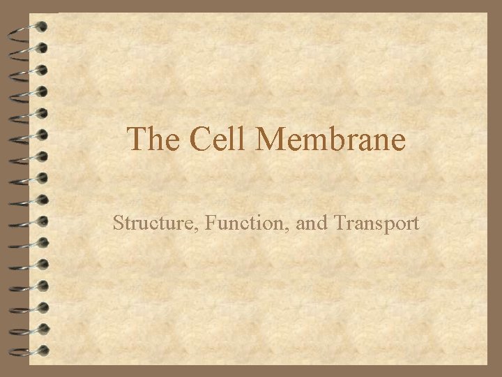 The Cell Membrane Structure Function and Transport Cell
