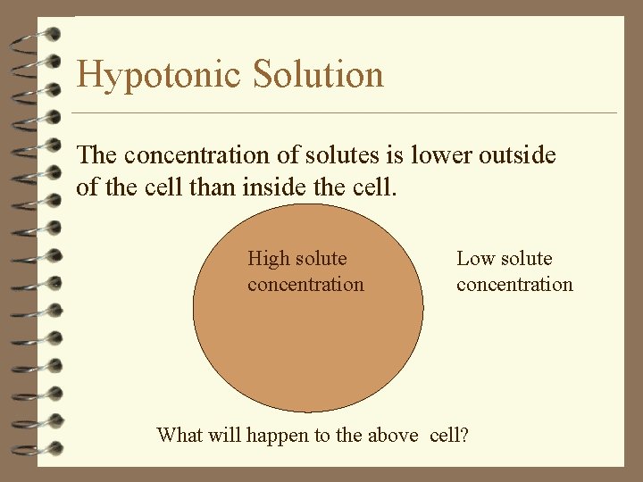 The Cell Membrane Structure Function and Transport Cell