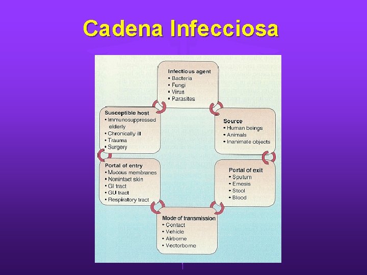 Conceptos de Salud Pblica Control de Infecciones RADI