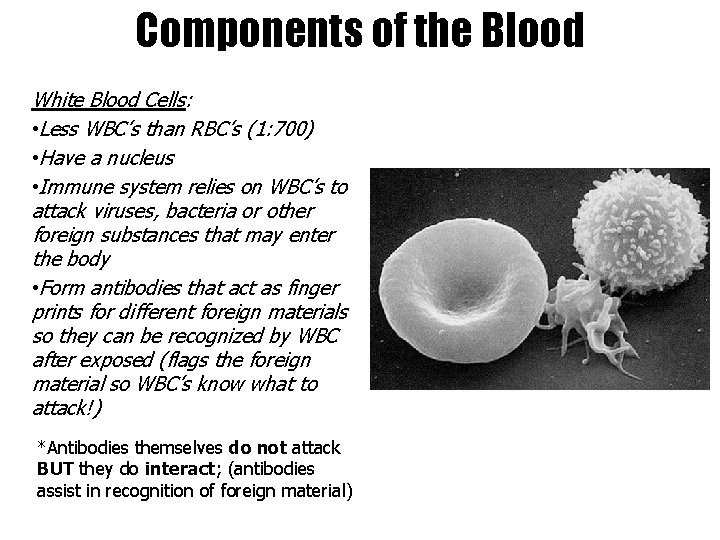 Agenda 1 Take up respiratory worksheet 2 Introduction