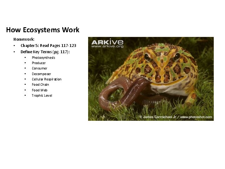 How Ecosystems Work Homework Chapter 5 Read Pages