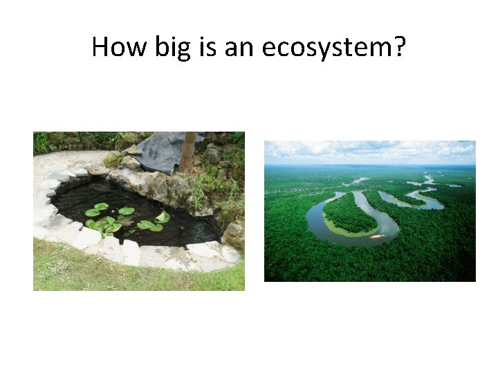 How Ecosystems Work Homework Chapter 5 Read Pages