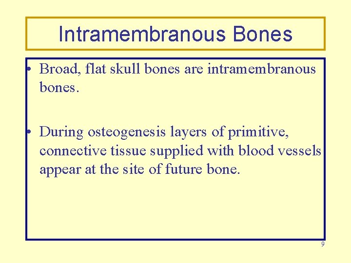 Power Point Presentation Holes Human Anatomy and Physiology