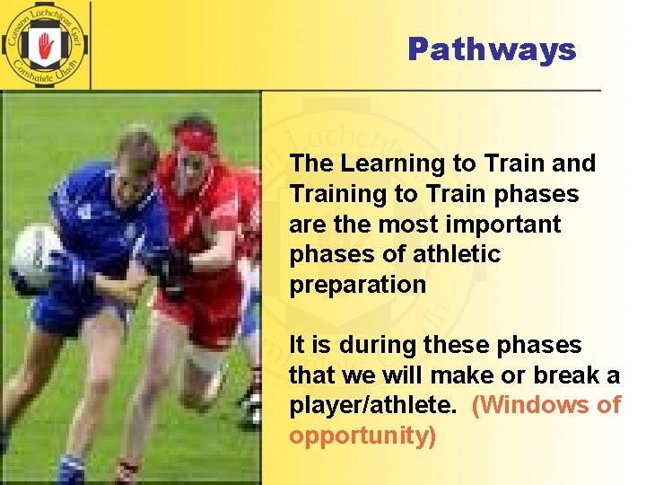 Coaching the Female Athlete Workshop March 26 th