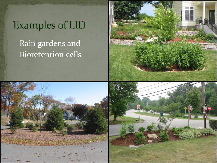 Low Impact Development LID A Sustainable Solution for