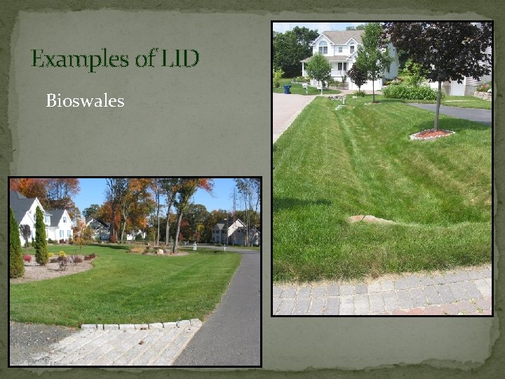 Low Impact Development LID A Sustainable Solution for