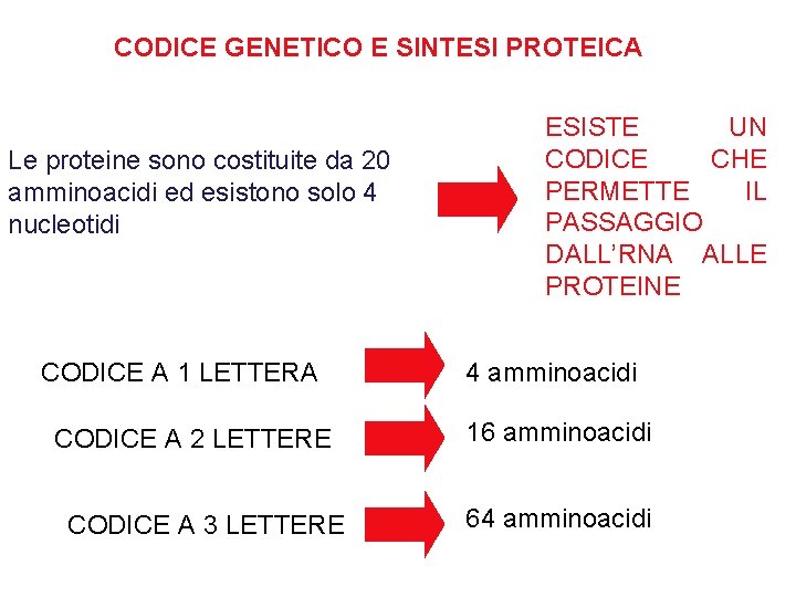 CODICE GENETICO E SINTESI PROTEICA Le proteine sono