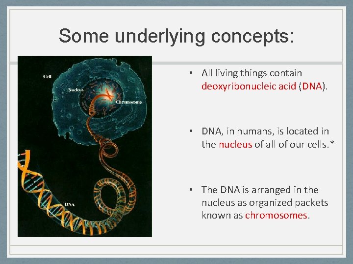 Genetic Disorders Lesson 1 BIG IDEAS FOR THE