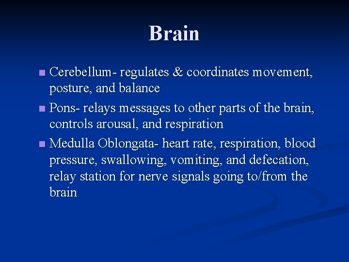 Biology The Nervous System n Two main parts