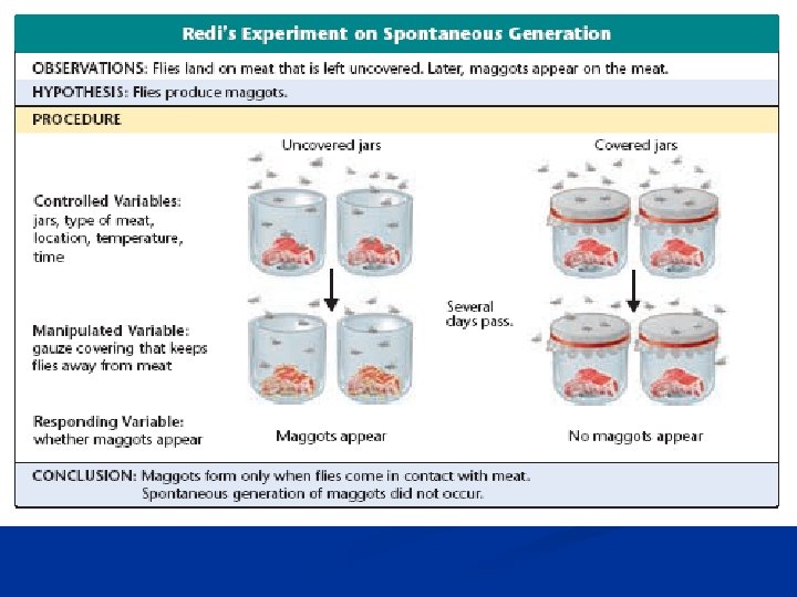 How Scientists Work How do scientists test hypotheses
