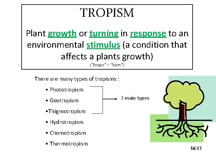 TROPISM Plant growth or turning in response to