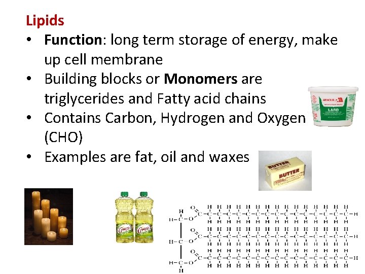 What is a Biomolecule Life on earth is