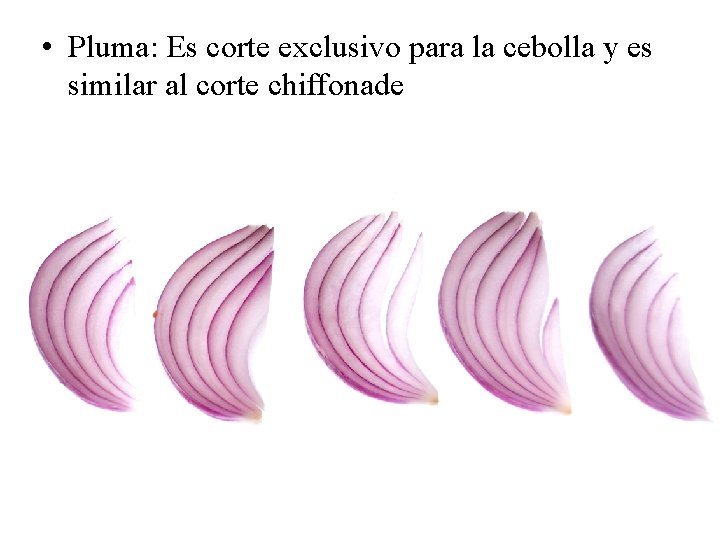 TIPOS DE CORTES MAS UTILIZADOS EN LA COCINA
