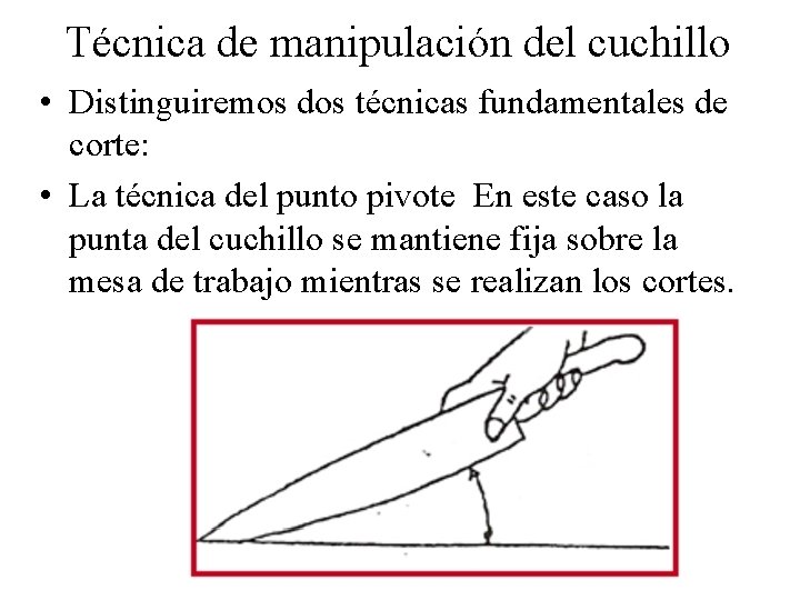 TIPOS DE CORTES MAS UTILIZADOS EN LA COCINA