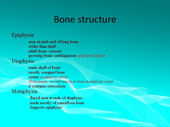 The Skeletal System Functions of skeleton Gives support