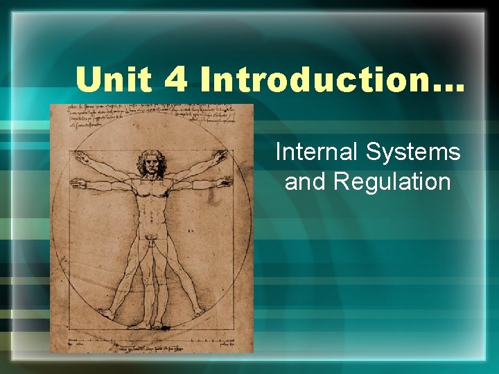 Unit 4 Introduction Internal Systems and Regulation The