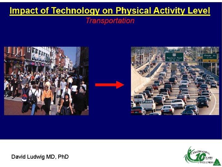 Understanding Metabolism how did the fat switch get