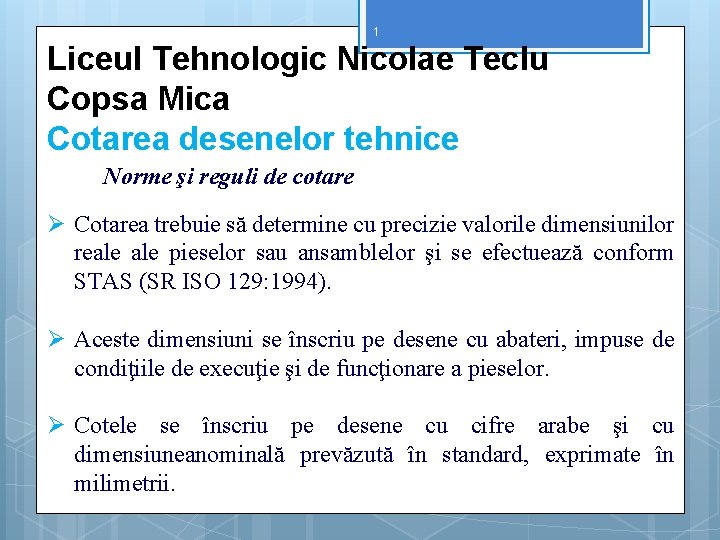 1 Liceul Tehnologic Nicolae Teclu Copsa Mica Cotarea