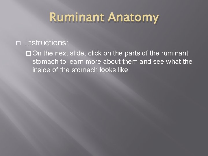 Ruminant Anatomy Instructions On the next slide click