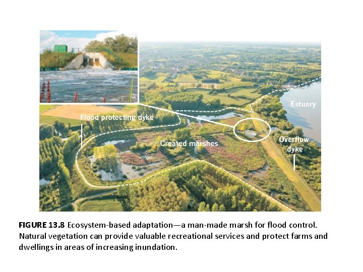 CH 13 Ecosystem Services FIGURE 13 1 Warming