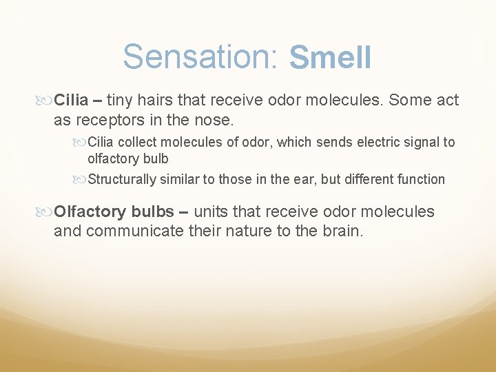 Sensation and Perception part 3 Chapter 4 November