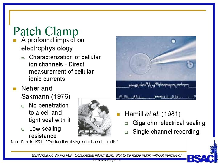 Disposable Multi Patch Clamps Using Planar Fluidic Channels