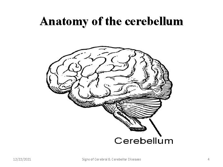 SIGNS OF CEREBELLAR CEREBRAL DISEASES Presenters Fatoumata Sillah