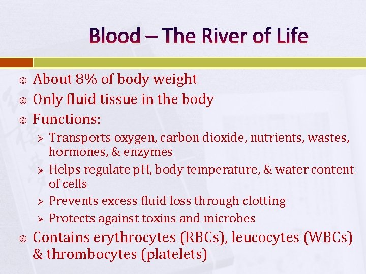 Blood Circulatory System Blood The River of Life