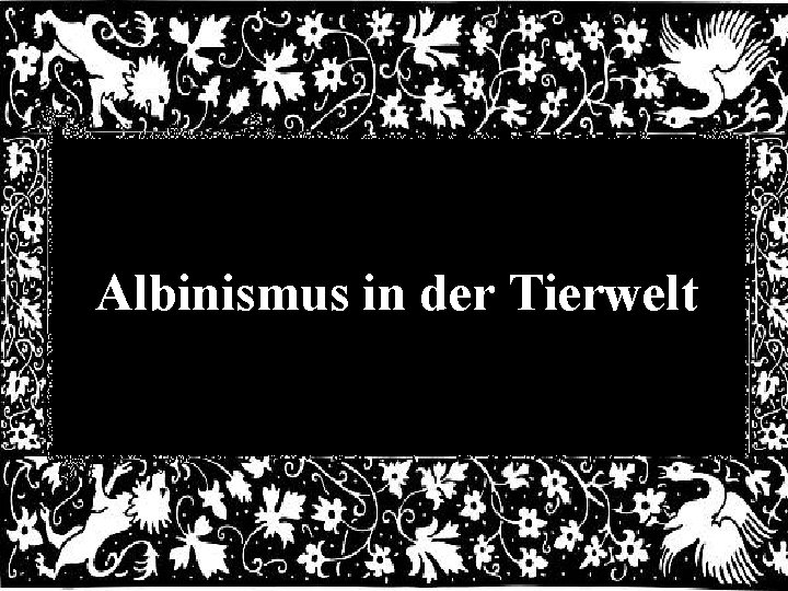 Albinismus in der Tierwelt Von vielen Kulturen werden