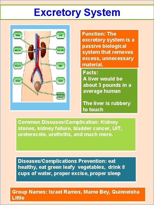 Directions Today you will be making a poster