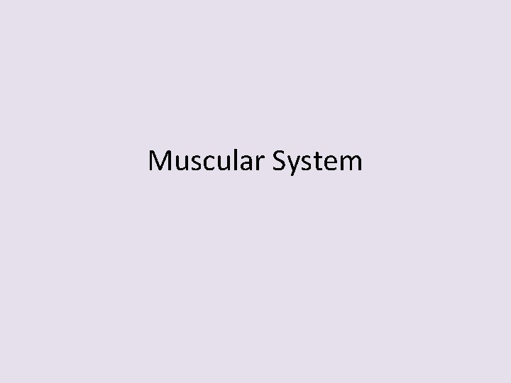 Muscular System Muscular System Over 600 muscles 45