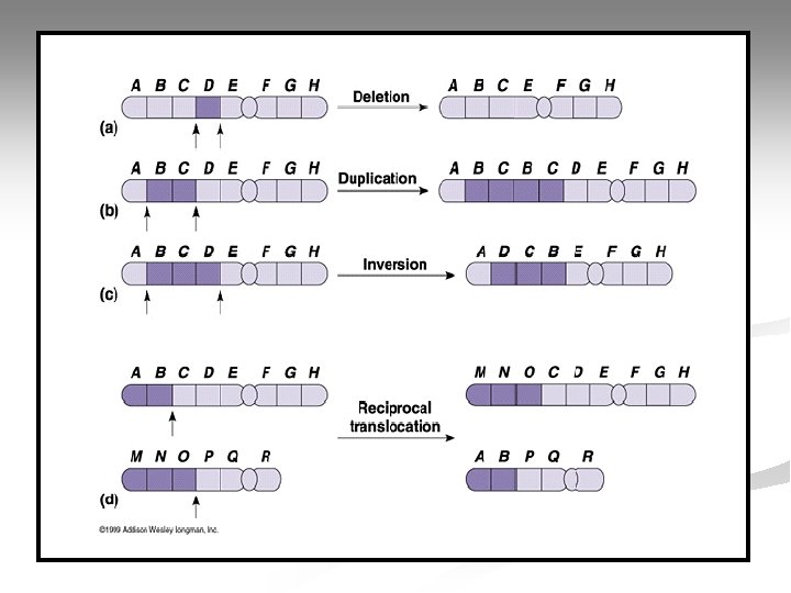 VARIATION IN STRUTURE OF CHROMOSOME Chromosomal Aberrations n
