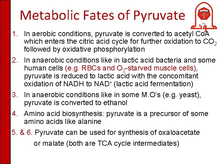 Glycolysis II Dr Nesrin Mwafi Biochemistry Molecular Biology