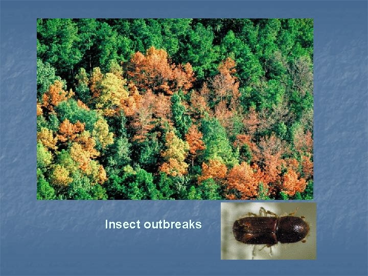 Session 8 Encroachment and Range Sustainability Military Training