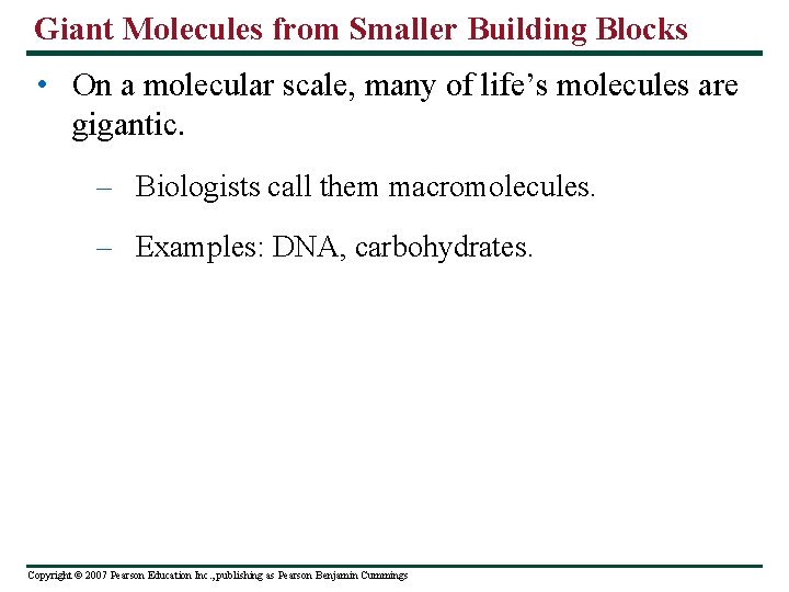 Chapter 4 Carbon and the Molecular Diversity of